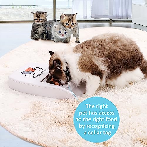 FurBabyFeeder Automatic Microchip Pet Feeder - Uses RFID Collar Tag - Multi-Pet - LCD Display - Suitable for Both Wet and Dry Food (White)