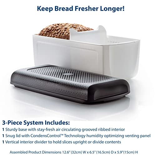 Tupperware Bread Saver- Storage Container & Bread Box for Bread, Pastries, Bagels & More, CondensControl- Moisture Control Technology, Keeps Bread Fresher Longer- 12.63" x 6.5" x 6"