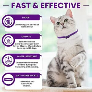 4 Pack Calming Collar for Cats, Cat Calming Collar, All New Calming Pheromone Collar for Cats, Cat Pheromone Collar, Cat Calming Collar for Anxiety, Efficient Relieve Anxiety and Stress