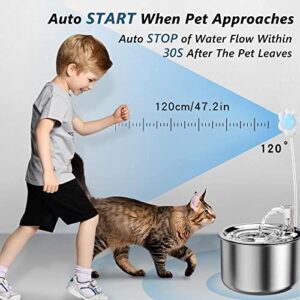 Motion Sensor Cat Water Fountain Samll Stainless Steel, Pet Water Fountain for Cats Inside 2L/67oz, 3 Replacement Filters & Visible Water Level Automatic Cat Water Dispenser Bowl