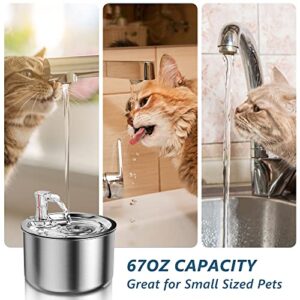 Motion Sensor Cat Water Fountain Samll Stainless Steel, Pet Water Fountain for Cats Inside 2L/67oz, 3 Replacement Filters & Visible Water Level Automatic Cat Water Dispenser Bowl