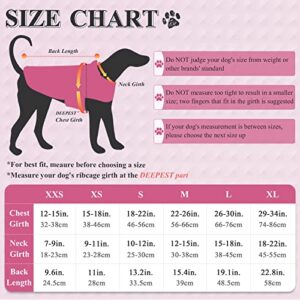 VIVAGLORY Cold Weather Dog Coats, Cozy Water-Repellent Windproof Dog Vest Winter Dog Coat, Warm Pet Apparel for Winter Dog Jacket for Small Medium Dogs with Furry Collar, Fuchsia M