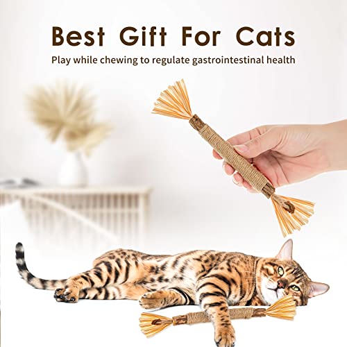 Luystoka 3PCS Silvervine Matatabi Catnip Sticks Natural Cat Chew Sticks, Cat Dental Toy, Catmint Blend Sticks, Teeth Cleaning, Interactive for Kitty, Kittens