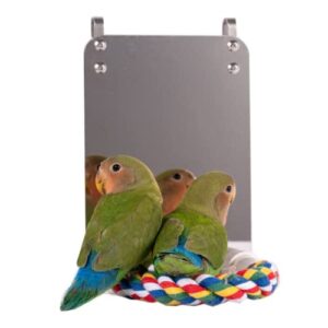 Barn Eleven Bird Mirror with Rope Perch Cockatiel Stainless Steel Mirror Parrot Swing Toys Parrot Cage Toys for Parakeet Cockatoo Cockatiel Conure Lovebirds Finch Canaries (Small)