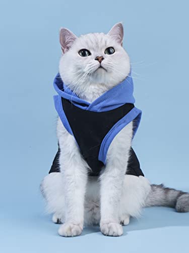 QWINEE Mom Boy Dog Hooded Tank Tops Letter Print Cat Puppy Hoodie Vest Sleeveless Pullover Dog Shirt Stretchy Pet Clothes for Small Medium Large Cats Dogs Kitten Blue M