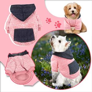 Small Dog Dress Sweater Pet Autumn and Winter Sweatshirt Matching Hooded Two-Legged Fleece Warm Pocket Clothing Extra Small Puppy Clothes Girl