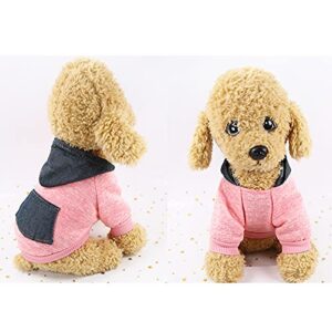 Small Dog Dress Sweater Pet Autumn and Winter Sweatshirt Matching Hooded Two-Legged Fleece Warm Pocket Clothing Extra Small Puppy Clothes Girl