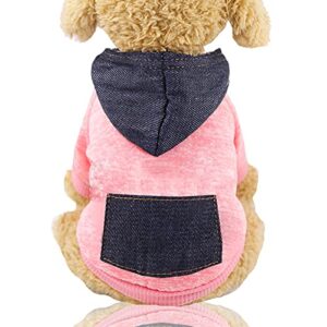 Small Dog Dress Sweater Pet Autumn and Winter Sweatshirt Matching Hooded Two-Legged Fleece Warm Pocket Clothing Extra Small Puppy Clothes Girl