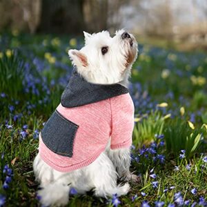 Small Dog Dress Sweater Pet Autumn and Winter Sweatshirt Matching Hooded Two-Legged Fleece Warm Pocket Clothing Extra Small Puppy Clothes Girl