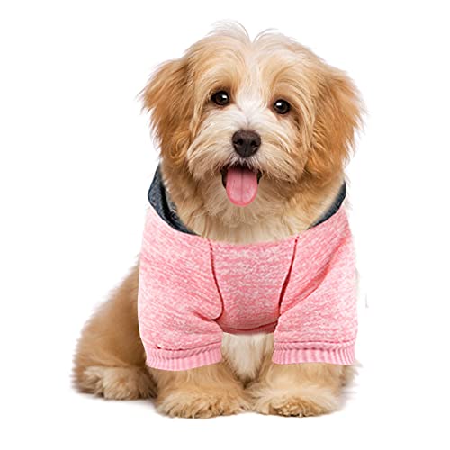 Small Dog Dress Sweater Pet Autumn and Winter Sweatshirt Matching Hooded Two-Legged Fleece Warm Pocket Clothing Extra Small Puppy Clothes Girl