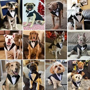 Dog Tuxedo and Bandana Set, 2 Pack Pet Costume Puppy Formal Party Suit, Dog Clothes for Small Medium Large Dogs, Dog Prince Bow Tie Shirt Dog Wedding Attire for Golden Retriever Samo Bulldogs (L)