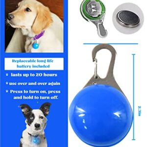 JayJos clip-on pet safety light, LED glow in the dark lights for your pet, weather resistant safety flashing lights for dogs, cats ,night walking, campers and bicycling Gifts For Pets, Keychain Light Blue