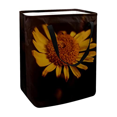 Yellow Chrysanthemum Print Collapsible Laundry Hamper, 60L Waterproof Laundry Baskets Washing Bin Clothes Toys Storage for Dorm Bathroom Bedroom