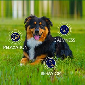 Hemp Calming Chews for Dogs with Anxiety and Stress - Dog Calming Treats - Dog Anxiety Relief - Separation - Travel - Barking - Melatonin for Dogs - Hemp Oil - Calming Treats for Dogs - 90 Chews