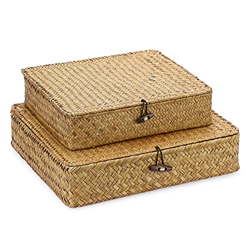 BTSKY Set of 2 Wicker Basket With Lids Flat Woven Storage Bins for Shelf Natural Seagrass Storage Baskets with Lids Home Utility Organizer Box for Home & Office Supplies, Caramel (Large+Small)