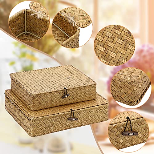 BTSKY Set of 2 Wicker Basket With Lids Flat Woven Storage Bins for Shelf Natural Seagrass Storage Baskets with Lids Home Utility Organizer Box for Home & Office Supplies, Caramel (Large+Small)