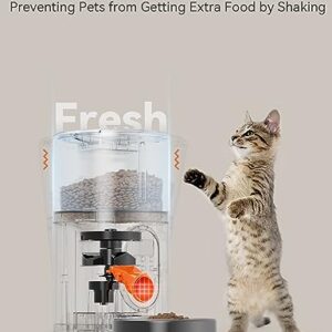 WOPET FT50 Automatic Cat Food Dispenser - Automatic Cat Feeders with Programable 1-6 Meals, Automatic Dog Feeder with Stainless Bowl, Timed Cat Feeder with 10S Voice Recorder for Cat and Dog, Black