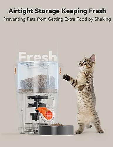 WOPET FT50 Automatic Cat Food Dispenser - Automatic Cat Feeders with Programable 1-6 Meals, Automatic Dog Feeder with Stainless Bowl, Timed Cat Feeder with 10S Voice Recorder for Cat and Dog, Black