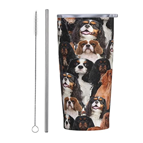 Funny Cavalier King Charles Spaniel Dog Face Cute Puppy Water Bottles - 20oz Tumbler Cups with Lid, Steel Straw and Brush Mug - Stainless Steel Vacuum Insulated Water Coffee Thermal Cup For Women Men