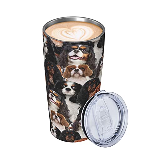 Funny Cavalier King Charles Spaniel Dog Face Cute Puppy Water Bottles - 20oz Tumbler Cups with Lid, Steel Straw and Brush Mug - Stainless Steel Vacuum Insulated Water Coffee Thermal Cup For Women Men