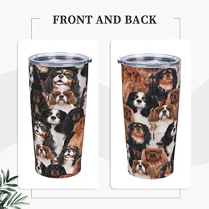 Funny Cavalier King Charles Spaniel Dog Face Cute Puppy Water Bottles - 20oz Tumbler Cups with Lid, Steel Straw and Brush Mug - Stainless Steel Vacuum Insulated Water Coffee Thermal Cup For Women Men