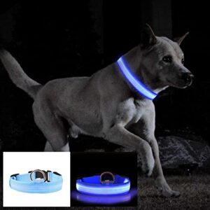 Accessories Dogs Cat Collar Pet LED Printed Collar for Cats Accessory