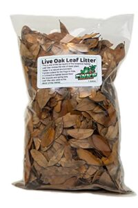 live oak leaf litter (1 gallon)