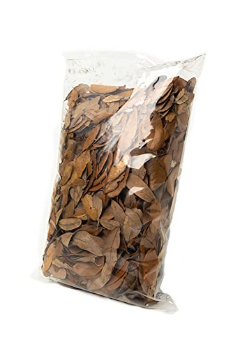 Live Oak Leaf Litter (1 Gallon)