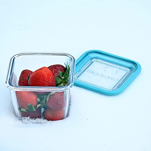 Bormioli Rocco Frigoverre Future 26.25 Oz.. Square Food Storage Container, Made From Durable Glass, Dishwasher Safe, Made In Italy