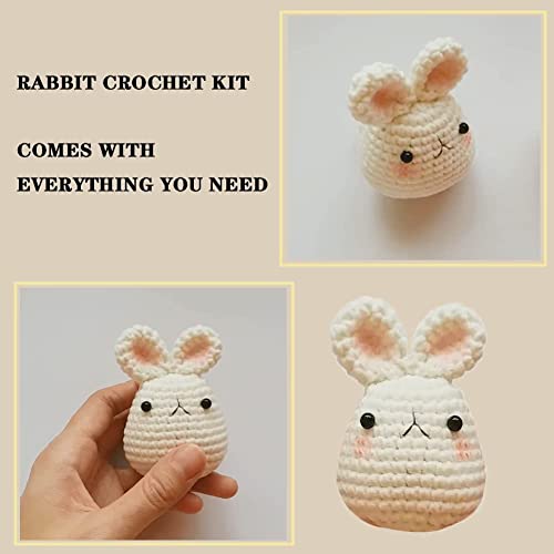 3 Pattern Crochet Kits - Crochet 3 Different Patterns Sets for Beginners/Experts - Rabbit, Chicken, Bee for Adult Starters, Kids, Includes Enough Yarns, Hook, Accessories