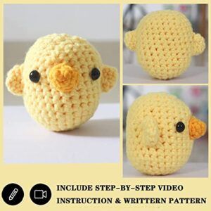 3 Pattern Crochet Kits - Crochet 3 Different Patterns Sets for Beginners/Experts - Rabbit, Chicken, Bee for Adult Starters, Kids, Includes Enough Yarns, Hook, Accessories