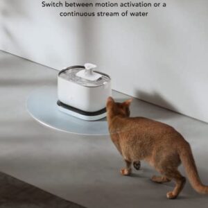 PETLIBRO Cat Water Fountain for Cats Inside,Wireless Pet Water Fountain,2.5L/84oz Dockstream Battery Operated Automatic Cat Fountains for Drinking with Wireless Pump,Easy Cleaning,BPA-Free for Cat Pet