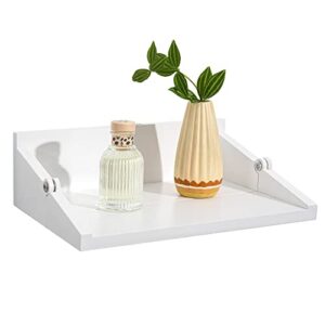 SUMGAR Modern 𝙁𝙡𝙤𝙖𝙩𝙞𝙣𝙜 𝙎𝙝𝙚𝙡𝙛 Wall Shelf Romantic and Cute Metal Decorative Storage Design 𝙁𝙡𝙤𝙖𝙩𝙞𝙣𝙜 𝙉𝙞𝙜𝙝𝙩𝙨𝙩𝙖𝙣𝙙 for Living Room Bathroom Bedroom Gifts (White)