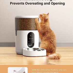 Hicreate Automatic Cat Feeder with Camera, Night Vision, 1080P HD Video & WiFi APP Control Automatic Cat Food Dispenser, 4L Dry Food Feeder for Cats and Dogs, Set up to 8 Meals, Timer, Sound Alerts