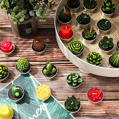 48 Pieces Succulent Cactus Candles Cactus Tealight Candles Decorative Shaped Candles for Birthday Wedding Spa Home Decoration Anniversary Festival Party Favors Props Housewarming Gifts