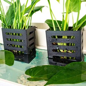 halifin 2pcs aquatic plant cup,plastic aquatic 𝐏𝐥𝐚𝐧𝐭 𝐏𝐨𝐭 three different sizes of holder, fish tank for emersed plants aquariums, suitable for borders aquariums without (black) (2.1 x 3.1 x 5)