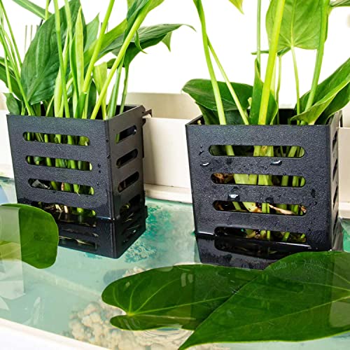 HALIFIN 2PCS Aquatic Plant Cup,Plastic Aquatic 𝐏𝐥𝐚𝐧𝐭 𝐏𝐨𝐭 Three Different Sizes of Holder, Fish Tank for Emersed Plants Aquariums, Suitable for Borders Aquariums Without (Black) (2.1 x 3.1 x 5)