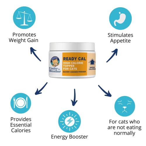 Under the Weather Ready Cal Powder for Cats | High-Calorie, Weight Gainer, Appetite Stimulant, Energy Booster Pet Suppliment | 20 Scoops (Scoop Included)