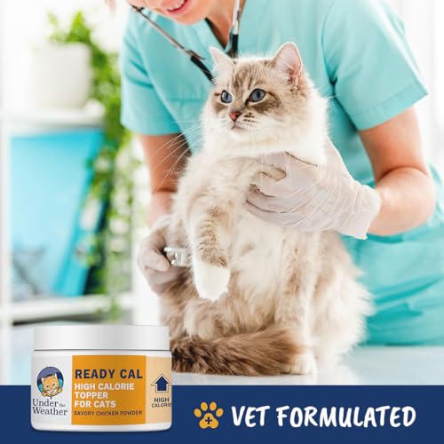 Under the Weather Ready Cal Powder for Cats | High-Calorie, Weight Gainer, Appetite Stimulant, Energy Booster Pet Suppliment | 20 Scoops (Scoop Included)