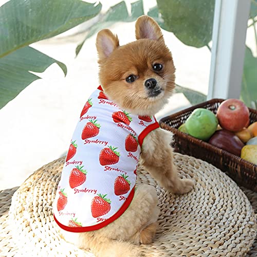 HonpraD Yorkie Clothes for Small Dogs Boy Dog Shirt Strawberry Print Puppy Cat T Shirts Tops Soft Dog Sleeveless Vest Outfits Summer Tee Shirts Pet Clothes