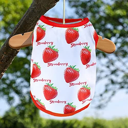 HonpraD Pet Clothes for Dogs Girl Dog Shirt Puppy Cat T Shirts Tops Soft Breathable Dog Sleeveless Vest Outfits Spring Summer Cotton Tee Shirts Pet Clothing