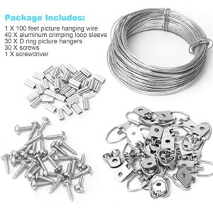 Ouskr 100 Pcs Picture Hanging Wire Kit, 100 Feet Heavy Duty Wire Picture Hanging for Photo Mirror Frame Artwork, Included D Ring Picture Hangers, Screws, Aluminum Sleeves, Screwdriver, up to 30lbs