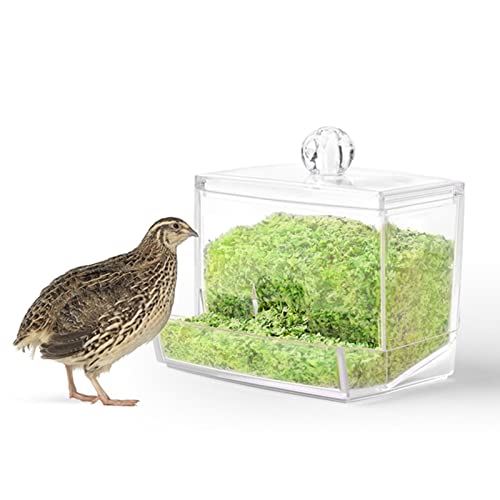 Fenteer Rutin Chicken Feeder Food Dispenser Clear Acrylic for Coop Cockatiel Feeding Supplies, Without Screws