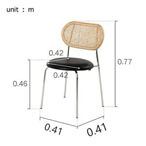 KEFFOR Dining Chair, Nordic Rattan Leisure Chair, Metal Dining Chair, Coffee Chair, Leisure Chair, Domestic Solid Wood Chair Design, Wrought Iron Dining Chair, Bearing 150kg(Color:Black)