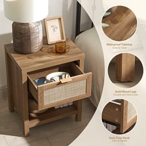 SICOTAS Rattan Nightstand - Farmhouse Night Stand with Drawer and Storage Shelf - Boho Accent Table Bedside Table End Table Side Table for Bedroom Wood