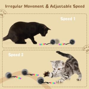 WAKHJAKT Interactive Cat Toys for Indoor Cats, DIY 5 in 1 Automatic Moving Cat Ball Toys/Puppies Toys with LED Rainbow Lights, Smart Sounds&Touch Control Cat Toys,USB Rechargeable (Grey)