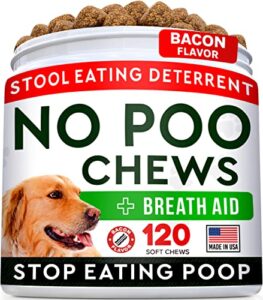 strellalab no poo treats for dogs - coprophagia stool eating deterrent - digestive enzymes - gut health & immune support - stop eating poop - bacon flavor 120 chews