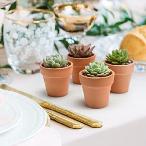 Succulent Plants (4 Pack), Live Assorted Succulents Fully Rooted in 2" Grower Pots with Soil, Unique Potted House Plants for DIY, Home Decor, Wedding Party Favor Gift