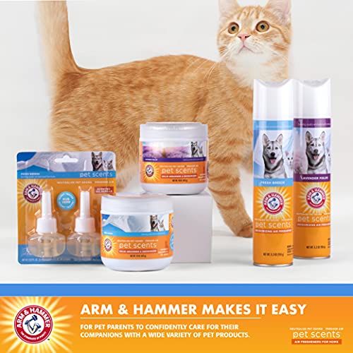 Arm & Hammer Air Care Pet Scents Electric Oil Diffuser Plug-in & Refills Bundle in Fresh Breeze Scent | Includes 1 Plug in Oil Diffuser and 3 Oil Refills | Pet Odor Eliminator