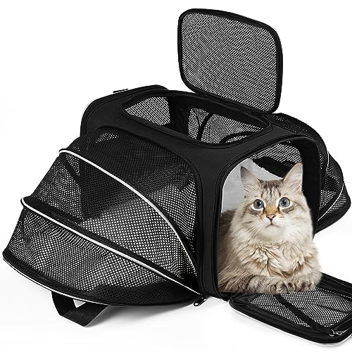 VKYSTAR Airline Approved Pet Carrier, Soft Sided Portable Pet Travel Carrier 2 Sides Expandable Cat Carrier with Removable Fleece Pad,Safety Leash and Shoulder Strap,Dog and Small Animal(Black)